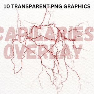 Bloody Veins Png Artery Graphics Digital Graphics Set of 10 - Etsy
