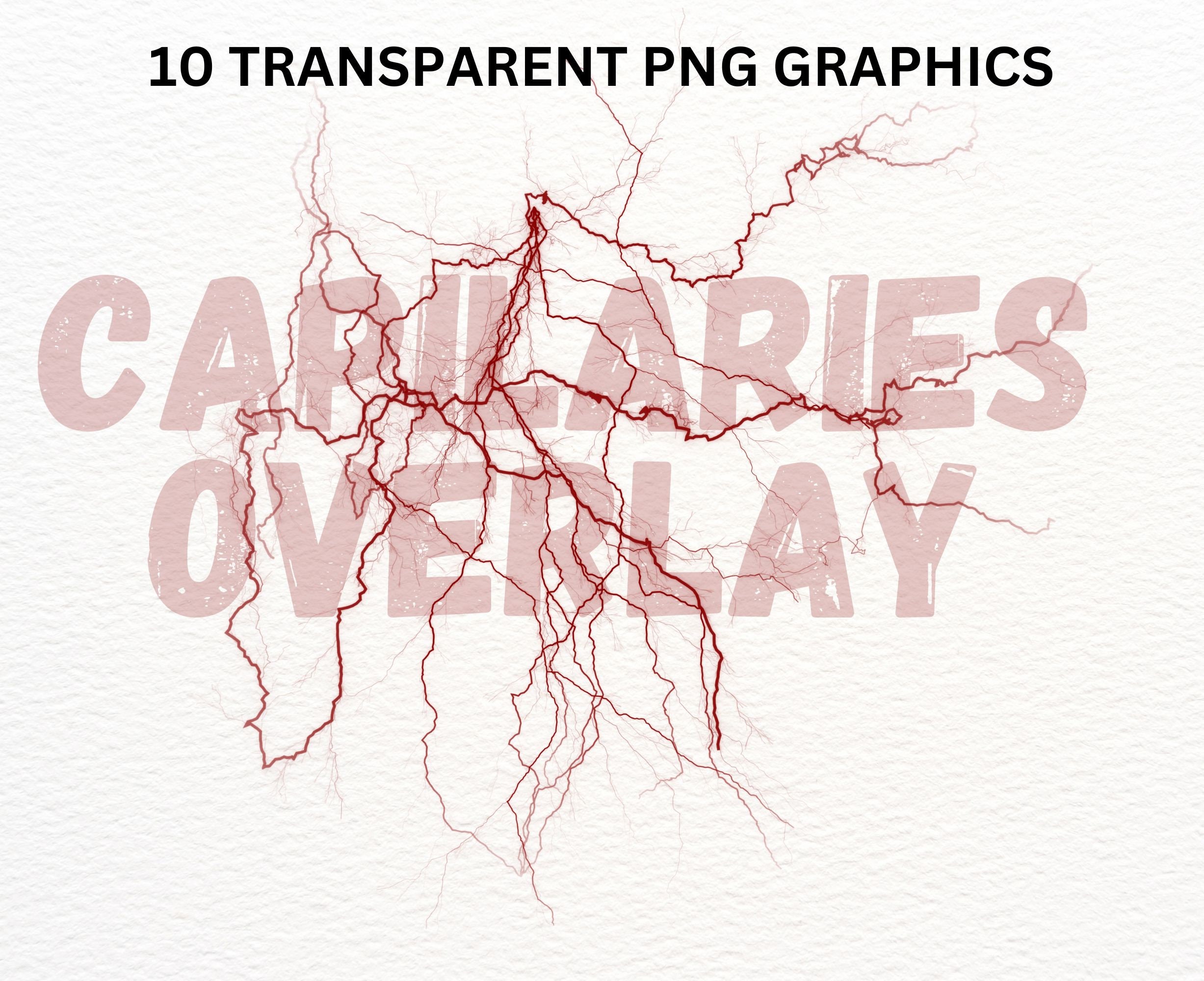 Buy Blood Capillaries Veins Arteries Png Printable Digital Graphics Set ...
