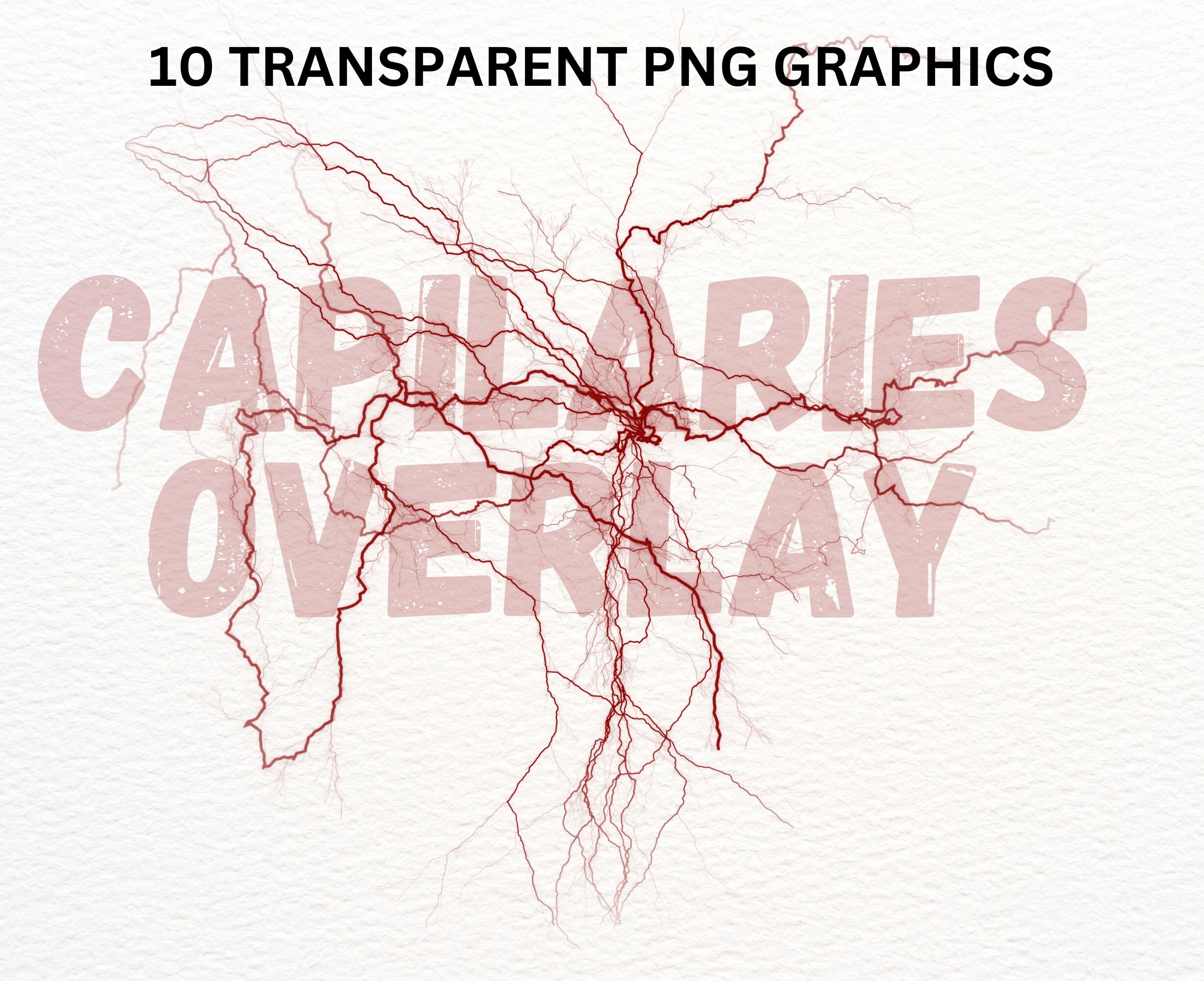 Bloody Veins Png Artery Graphics Digital Graphics Set of 10 - Etsy