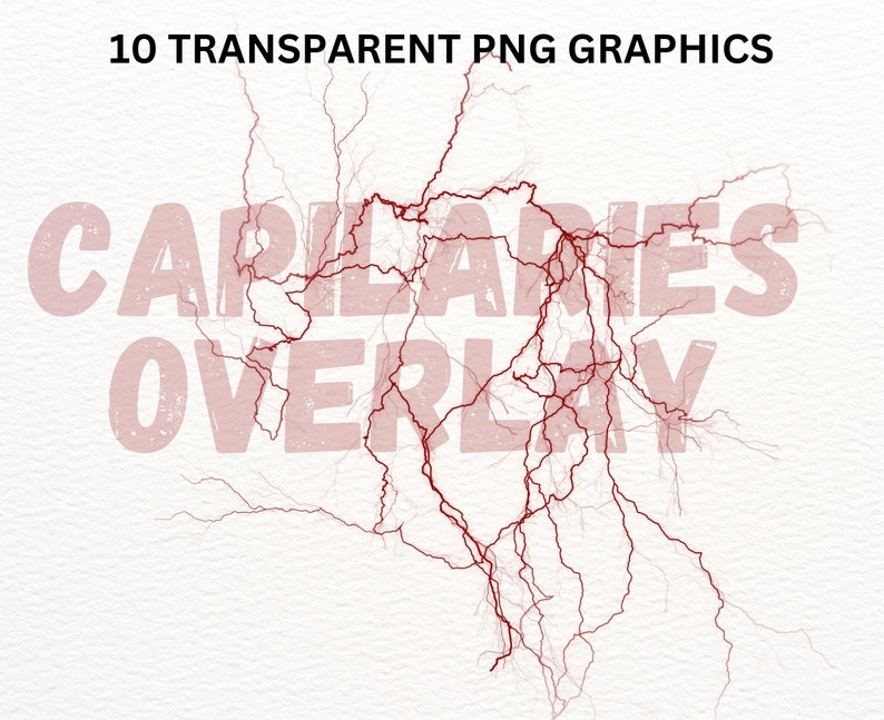 Bloody Veins Png Artery Graphics Digital Graphics Set of 10 - Etsy