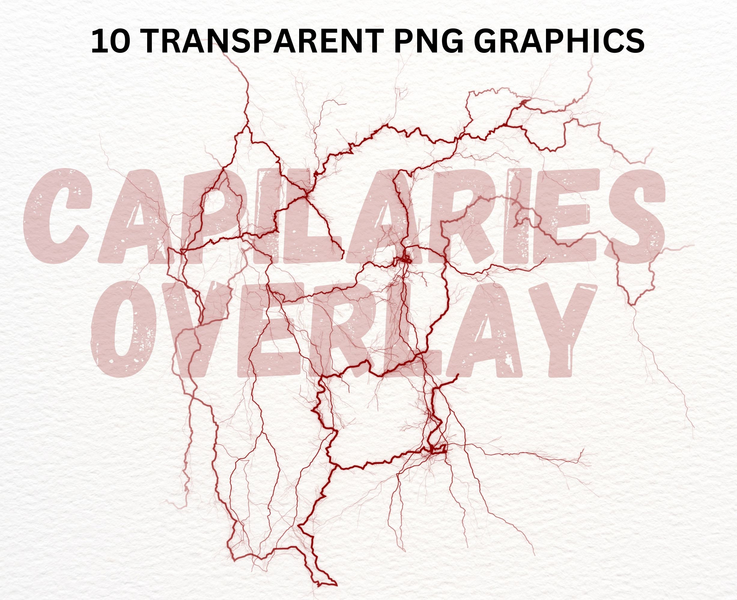 Buy Blood Capillaries Veins Arteries Png Printable Digital Graphics Set ...