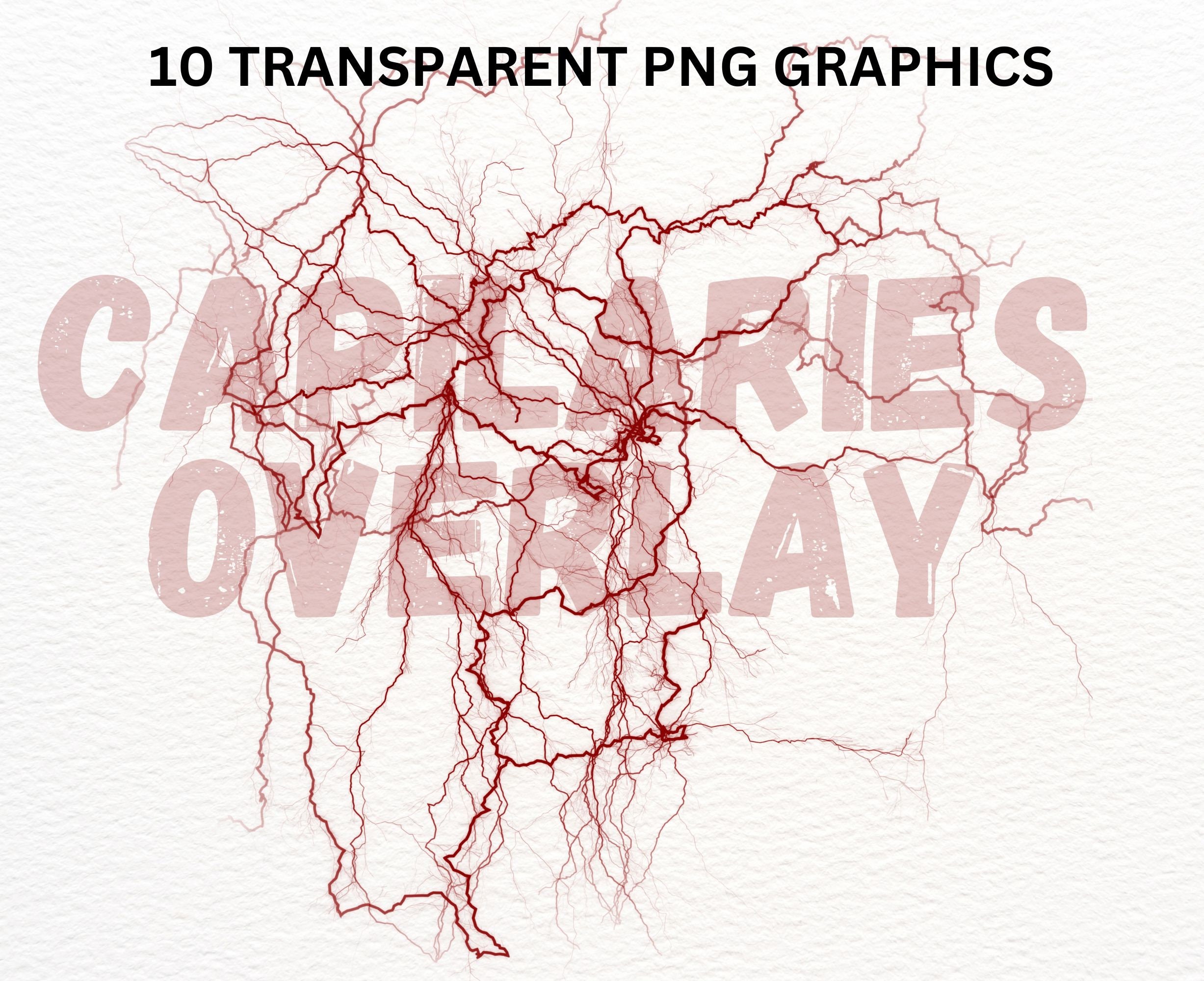 Buy Blood Capillaries Veins Arteries Png Printable Digital Graphics Set ...