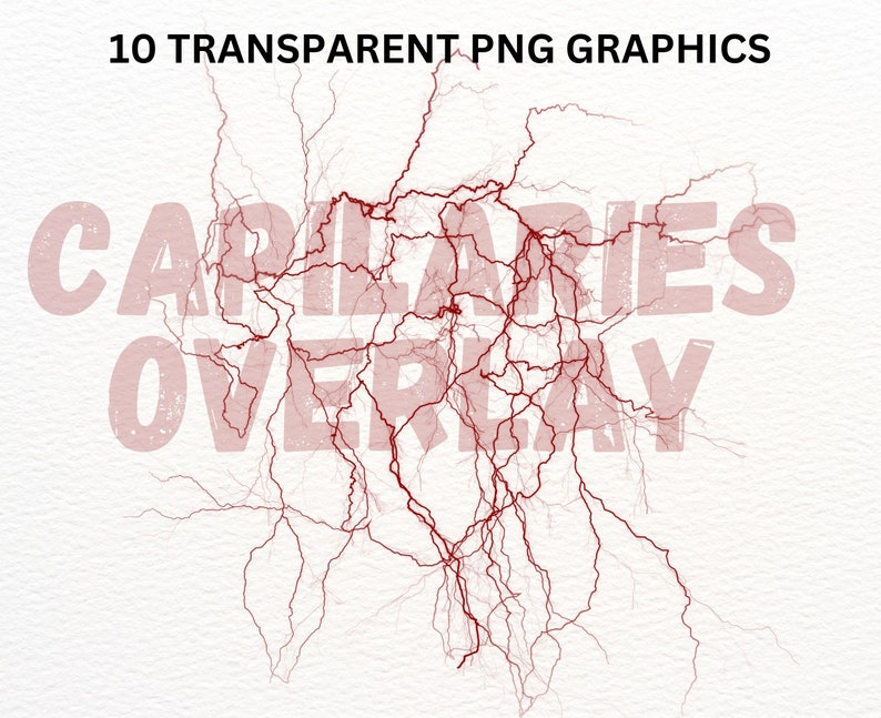 Bloody Veins Png Artery Graphics Digital Graphics Set of 10 - Etsy