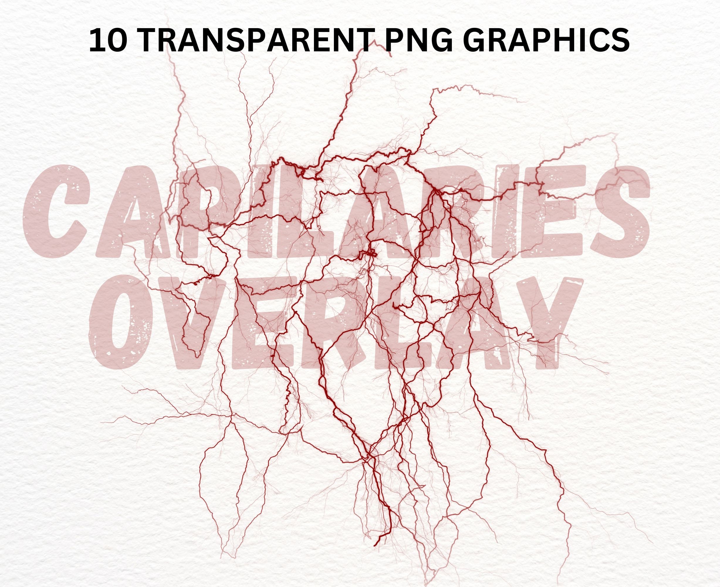 Buy Blood Capillaries Veins Arteries Png Printable Digital Graphics Set ...