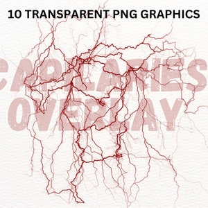Bloody Veins Png Artery Graphics Digital Graphics Set of 10 - Etsy