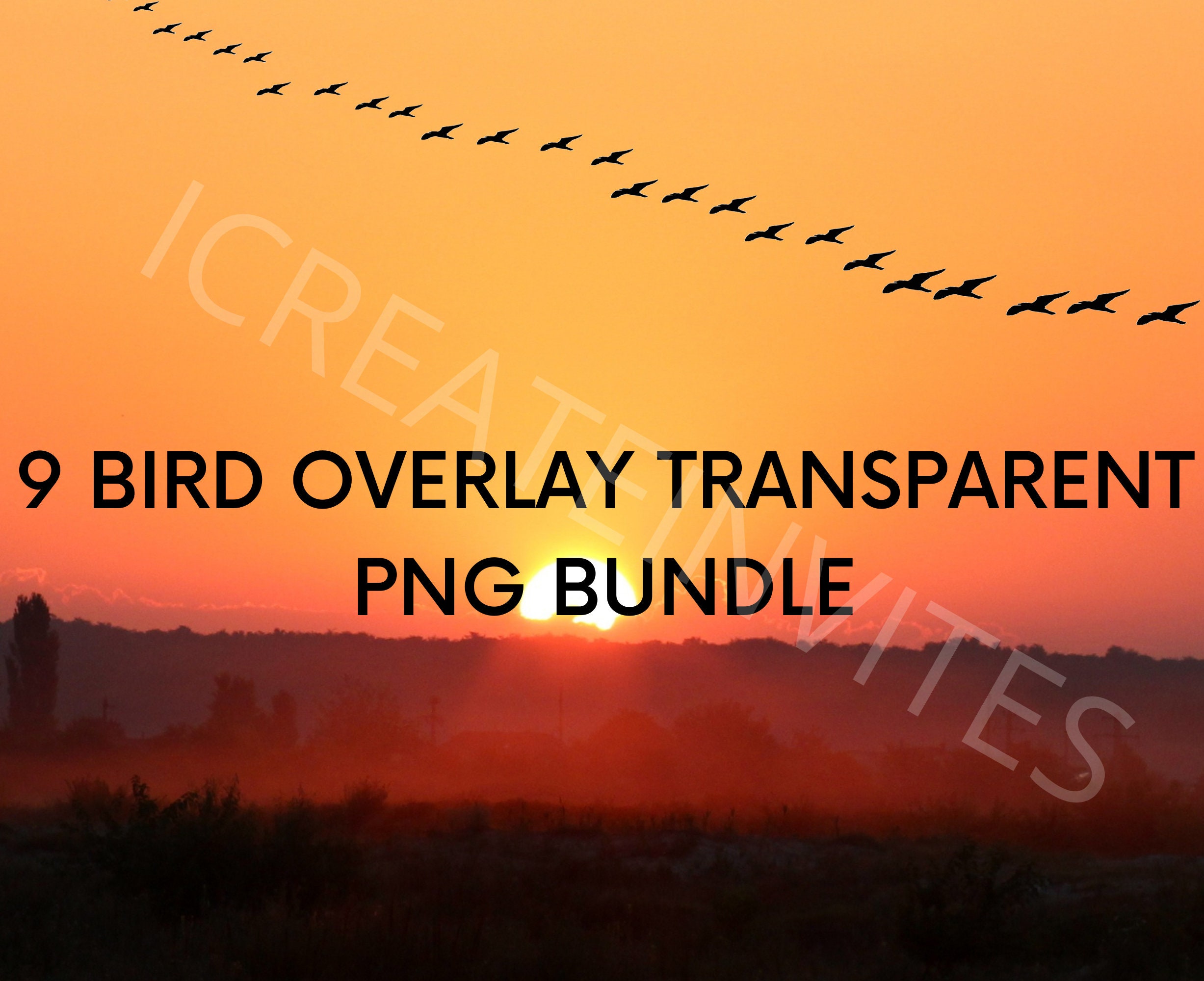 Flying Birds Photoshop Overlay Transparent Background Png Bundle - Etsy
