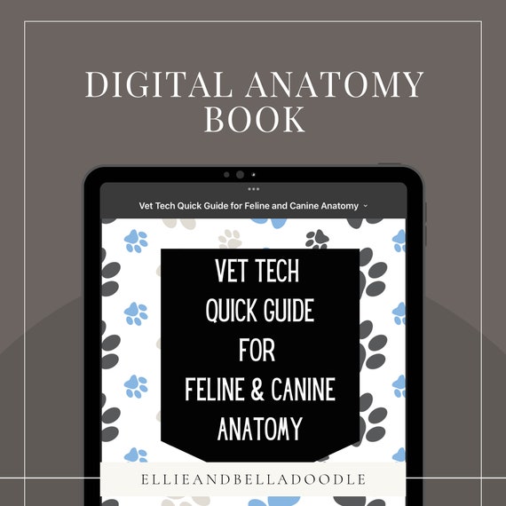 Learning & School Toys & Games Vet Quick Guide Toys etna.com.pe