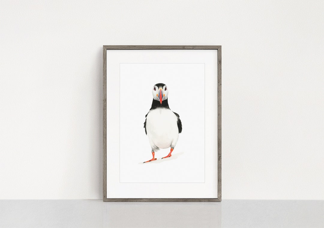 Stud Puffin High Quality Puffin Print of an Original Watercolour ...