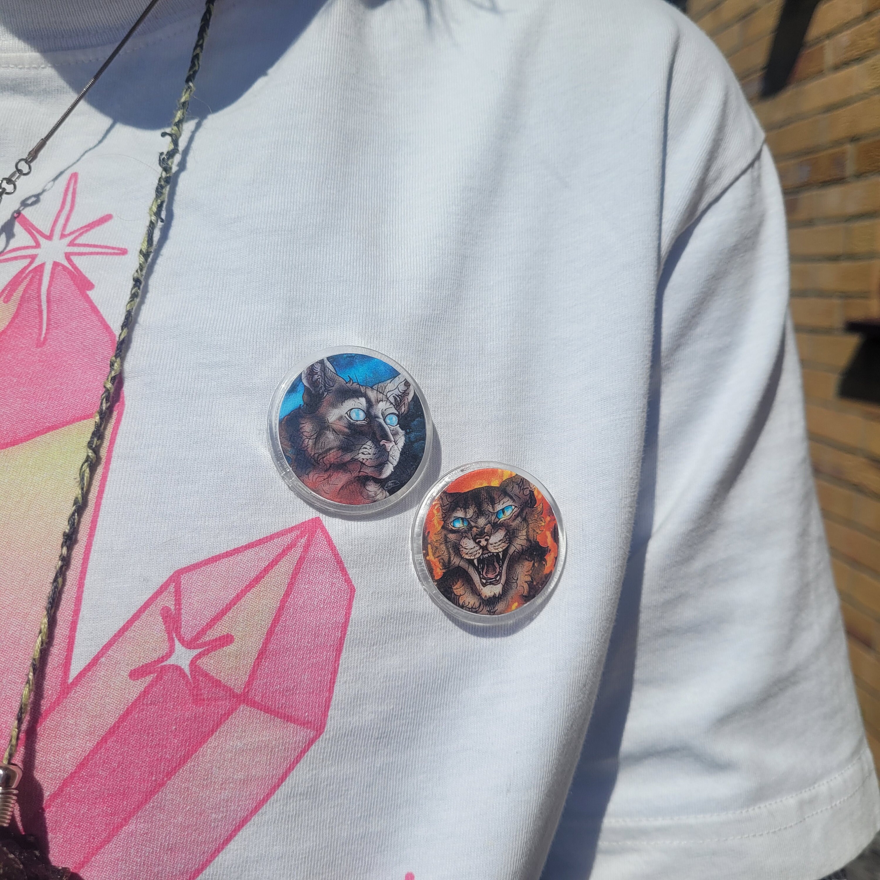 Warrior Cats Pins/badges - Etsy UK