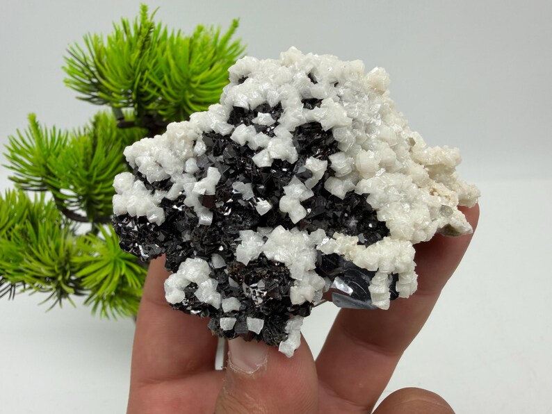 Black Sphalerite, Galena, Calcite Mineral Specimen, Bulgaria - Etsy