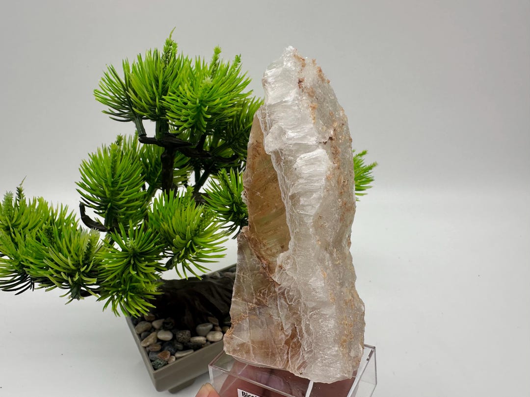 TOP QUALITY! Golden Phantom Selenite Slabs. Fishtail Selenite. Utah Raw ...