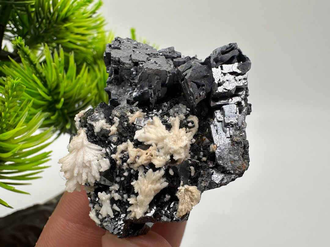 Wonderful,rare Skeletal Galena on Sphalerite Whit Calcite,from 9 Th ...