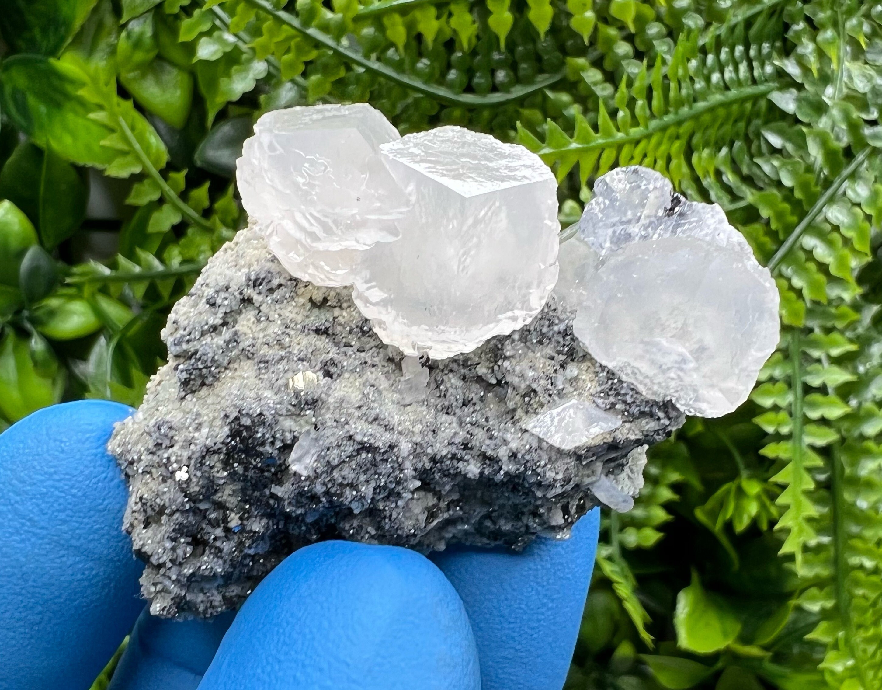 Small Mineral Crystals