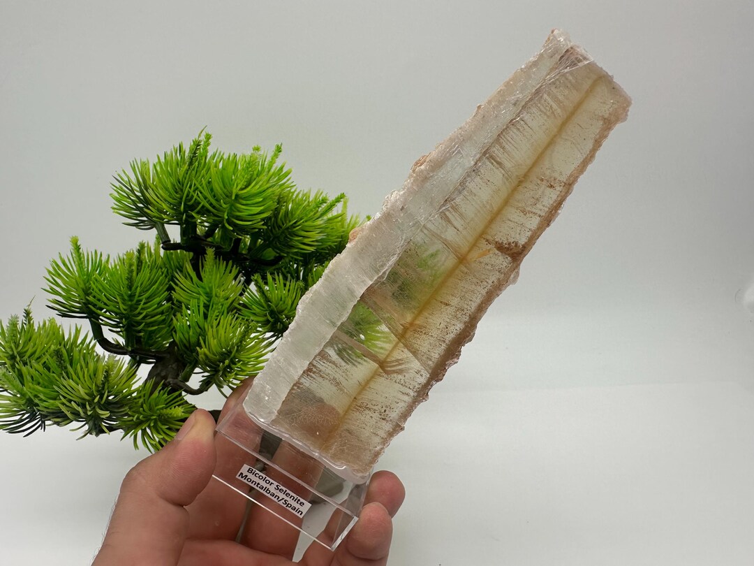 Golden Phantom Selenite Slab, Utah Raw Fishtail Selenite - Etsy