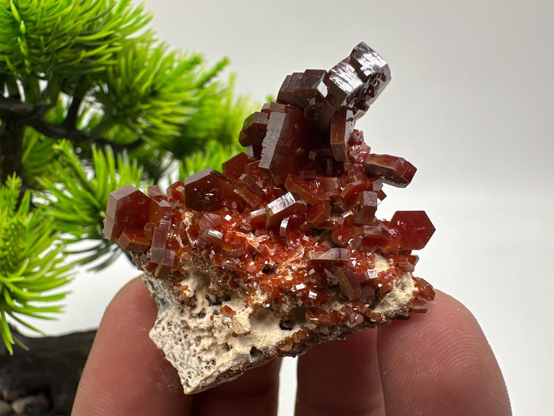 Red Vanadinite on Barite From Morocco,crystal, Mineral,specimen,cluster,vanadinite Crystal ...