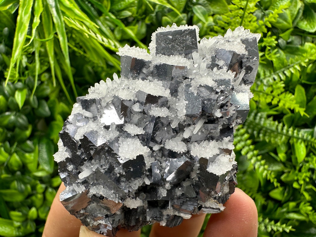 Stunning Skeletal Shiny Galena Whit Quartz Natural Minerals Souvenir ...