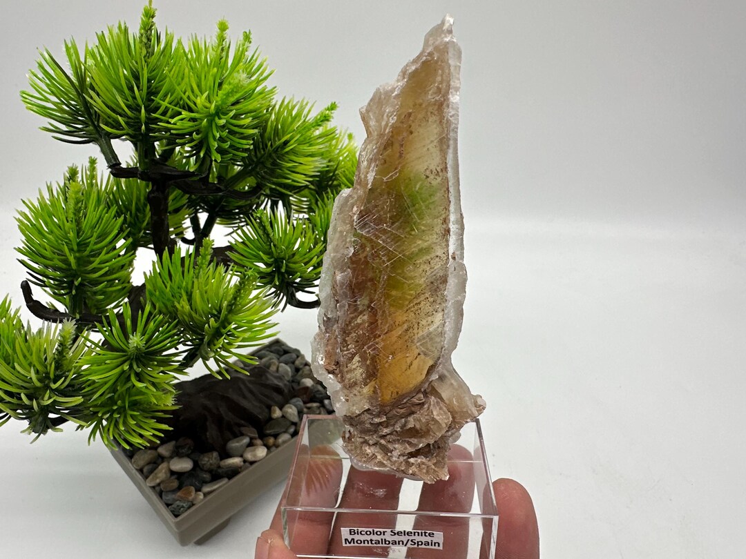 TOP QUALITY! Golden Phantom Selenite Slabs. Fishtail Selenite. Utah Raw ...
