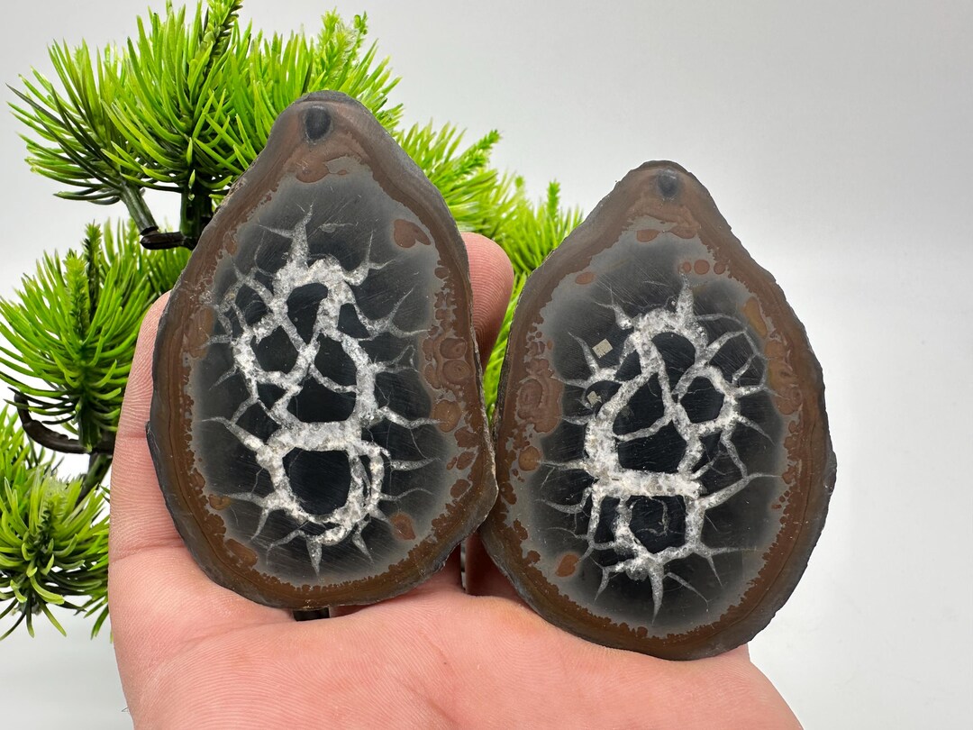 Dragonstones Pair, Septarian Nodule Geode, Septaria, Dragonstone ...