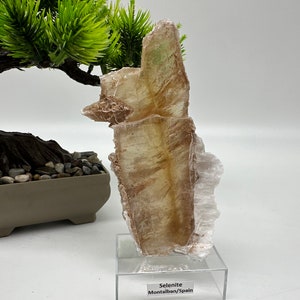 Golden Phantom Selenite Slab: Raw Utah Fishtail Selenite - Etsy