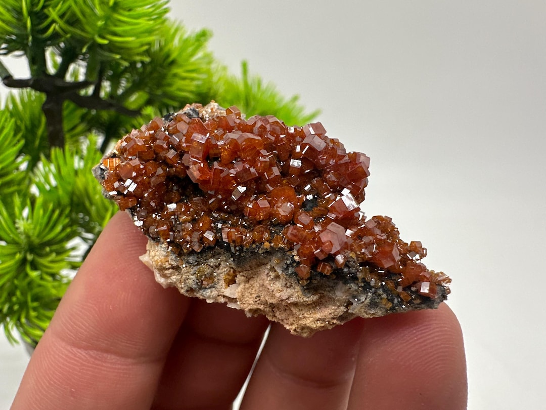 Red Vanadinite Crystal Cluster on Goethite Matrix, Morocco Mineral ...