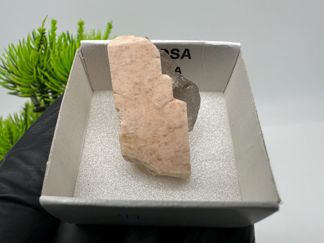 Natural Orthoclase Feldspar Crystal From Spain – Raw Mineral Specimen ...