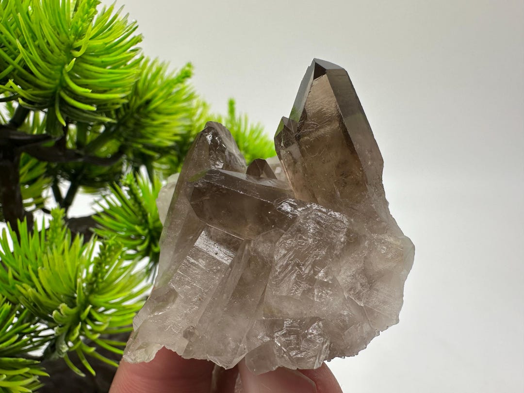 Rare Smoky Quartz,mineral Specimen,collection Crystal,minerals,smoky ...