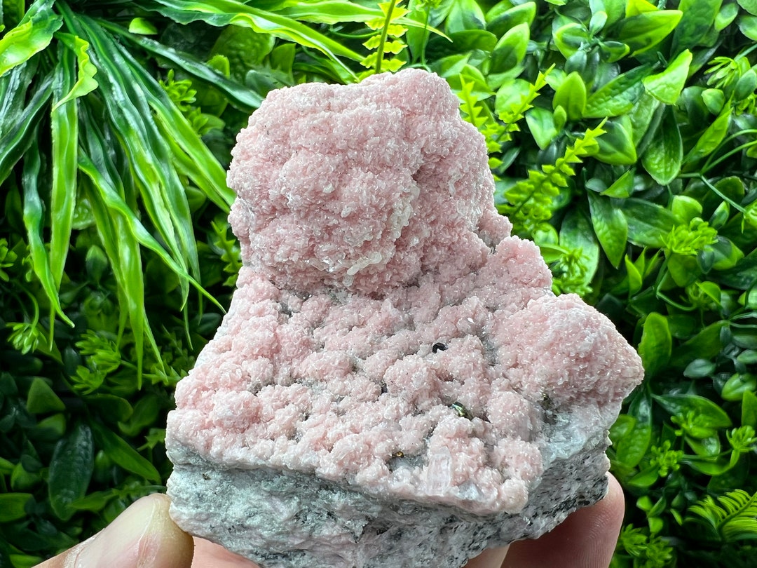 Pink Rhodochrosite Roses Crystal: Natural Mineral Home Decor Stone - Etsy