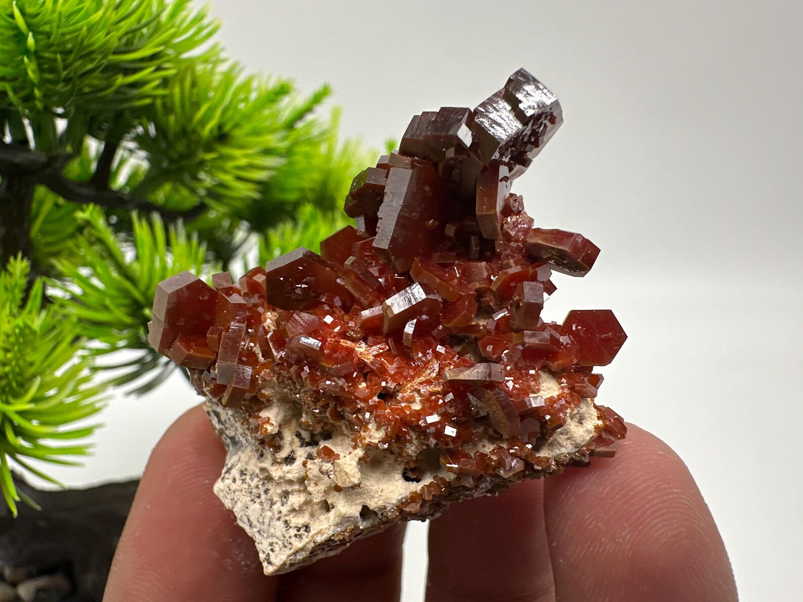 Red Vanadinite Crystal on Barite, Morocco Mineral Specimen - Etsy