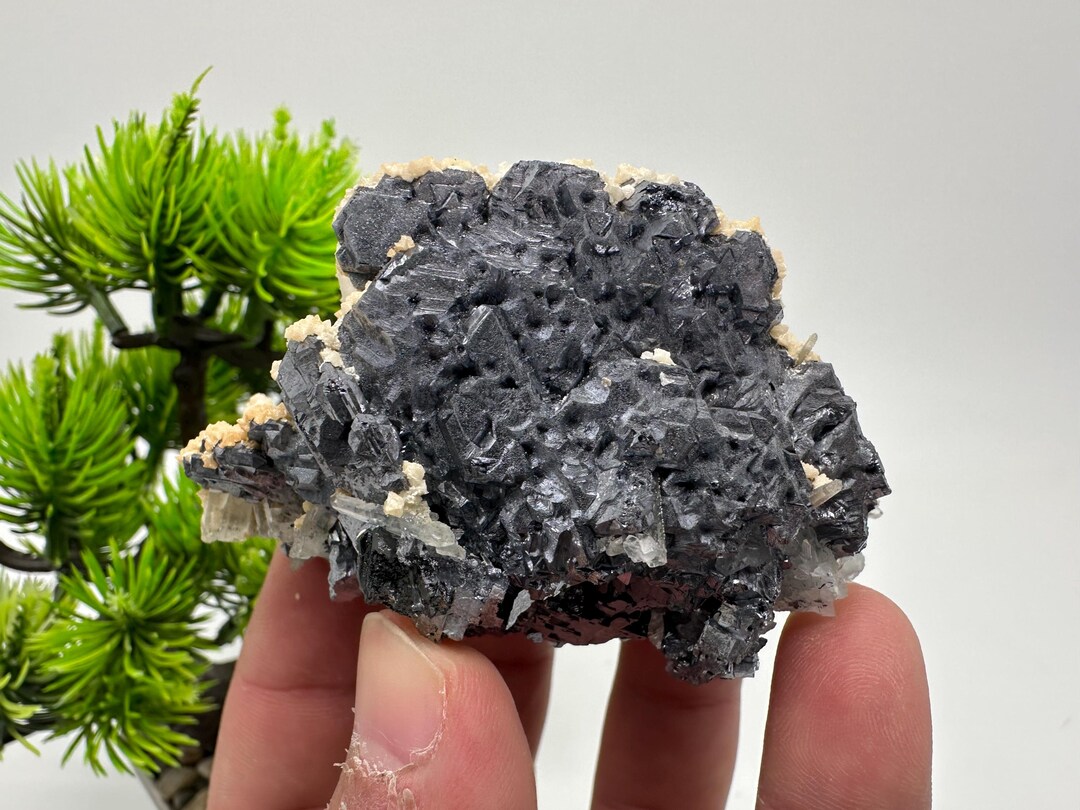 Galena Spinel Law Wing Mineral Specimen: Home Decor Stone - Etsy
