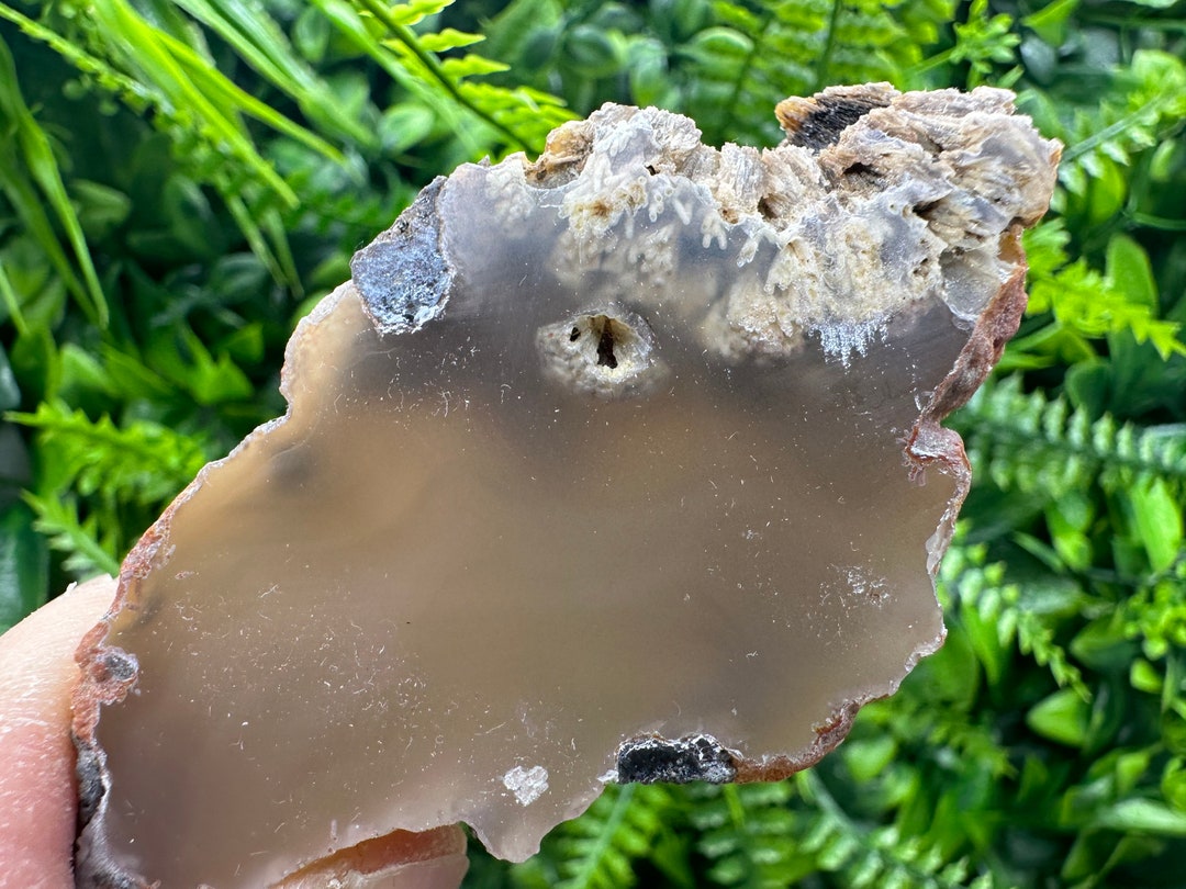 Rare!wonderful Polished Segenite Agate From Bulgaria,geode Agate ...