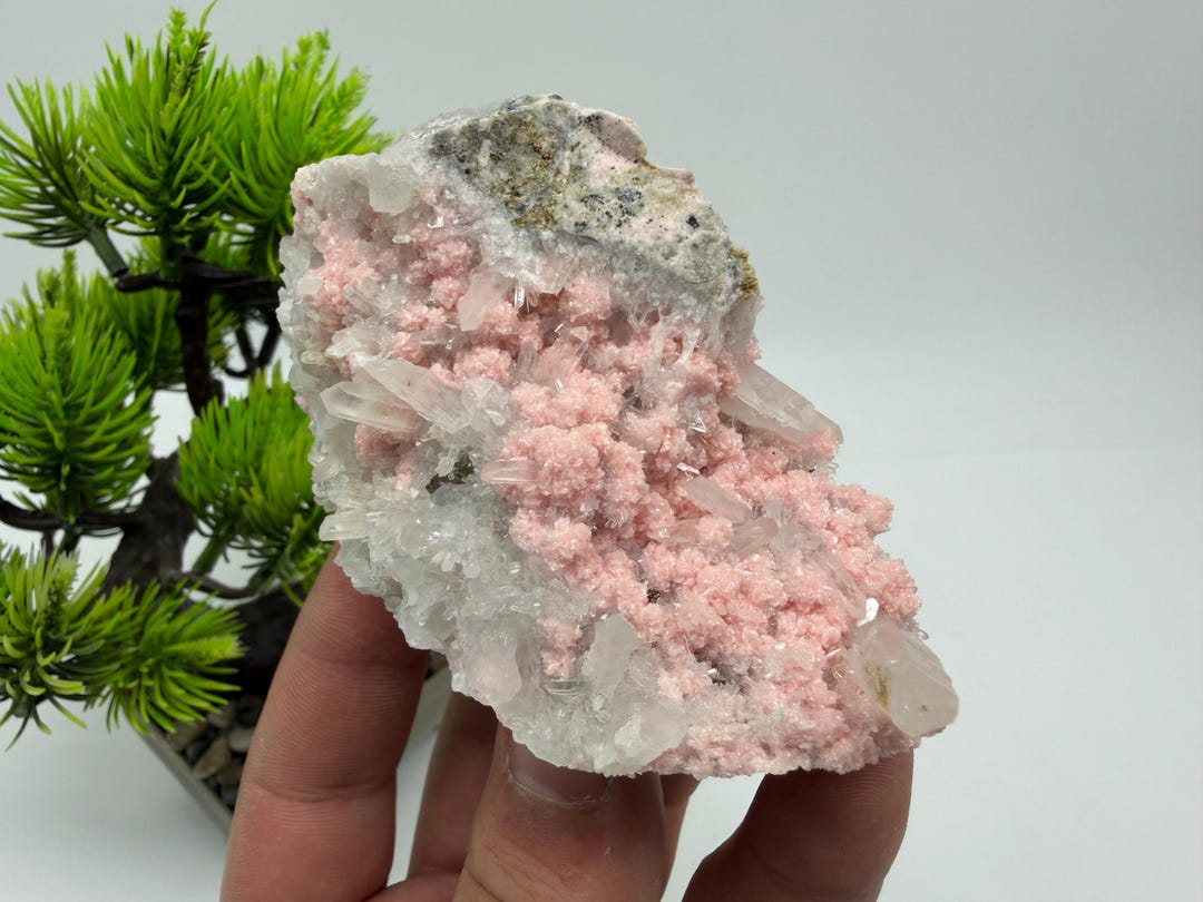 Rhodochrosite With Stilbite on Quartz: Rare Pink Crystal Home Decor ...