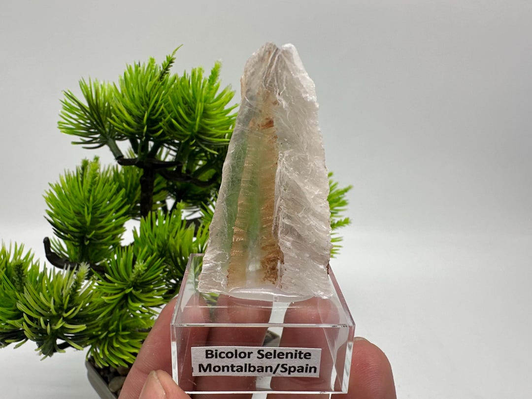 Golden Phantom Selenite Slab: Raw Utah Fishtail Selenite - Etsy