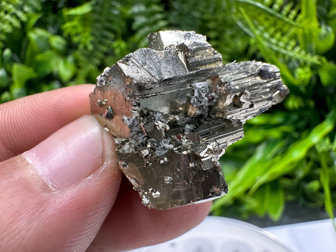 Rare Crystalline Pyrite Mineral Specimen, Bulgaria - Etsy