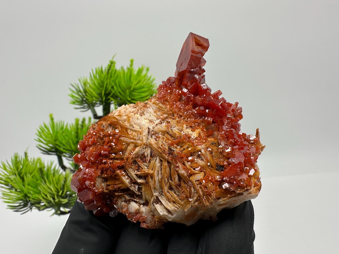 Red Vanadinite on Barite From Morocco,crystal, Mineral,specimen,cluster ...