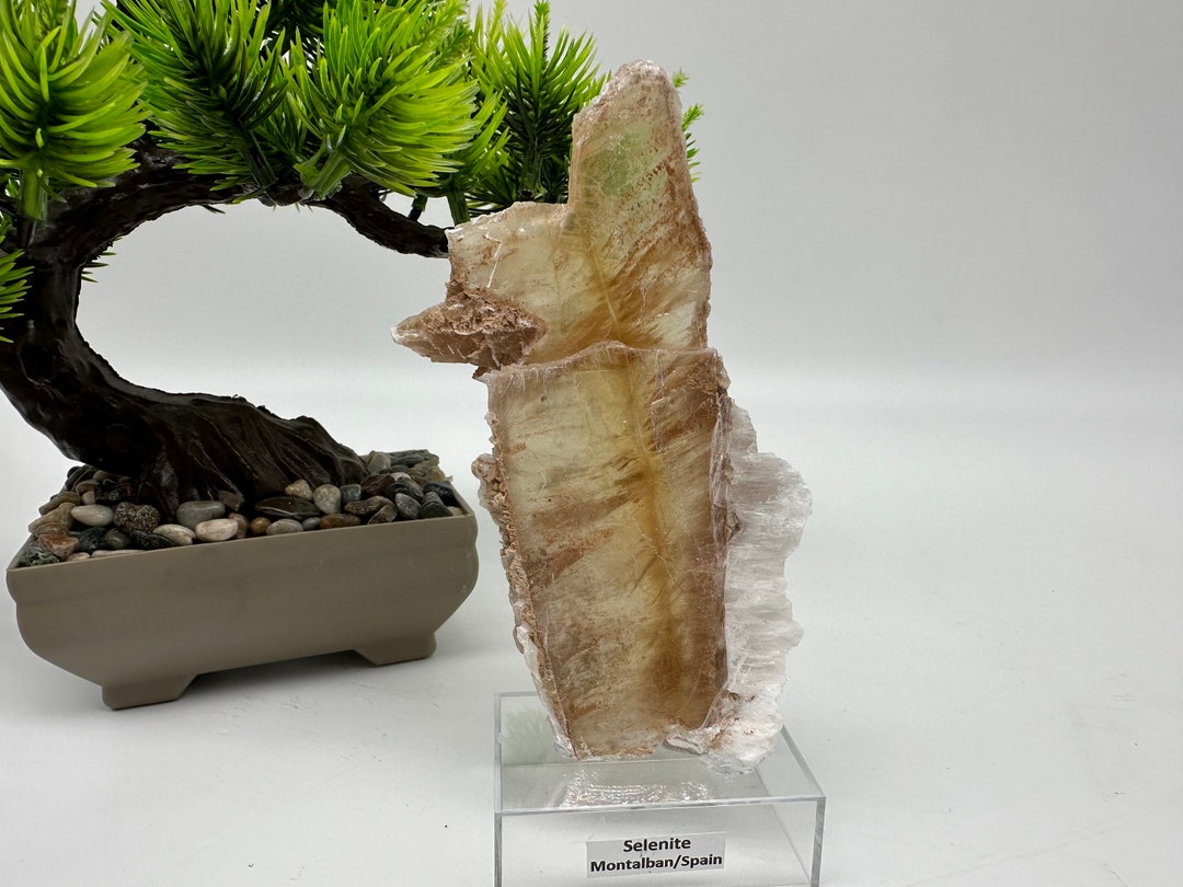 Golden Phantom Selenite Slab: Raw Utah Fishtail Selenite - Etsy