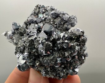 Stunning Shiny Galena on Sphalerite(marmatite) Natural Minerals ...