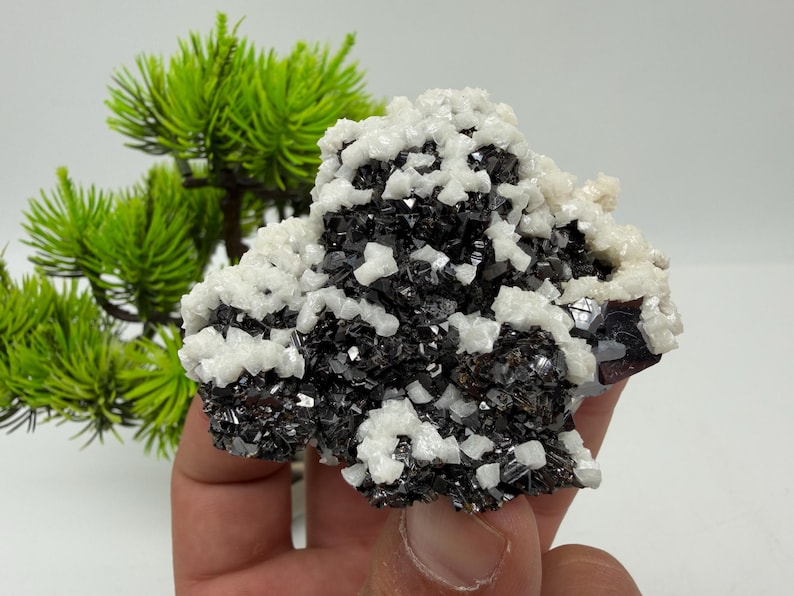 Black Sphalerite, Galena, Calcite Mineral Specimen, Bulgaria - Etsy