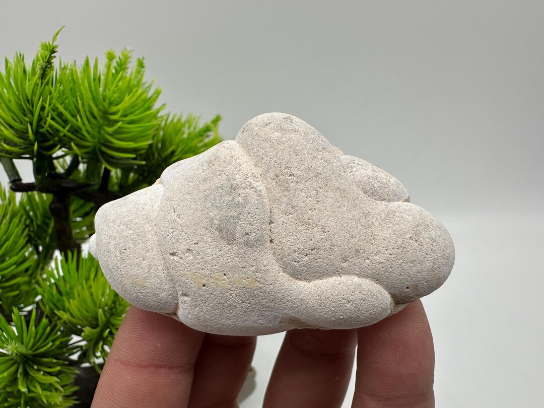 Menalite Crystal, White Fairy Crystal, Unique & Special Crystal Piece ...