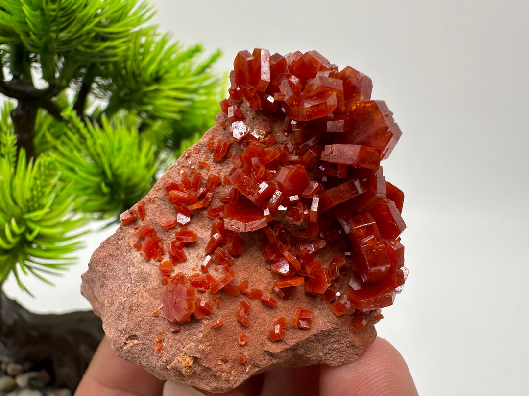 Red Vanadinite on Matrix From Morocco,crystal, Mineral,specimen,cluster,vanadinite Crystal ...