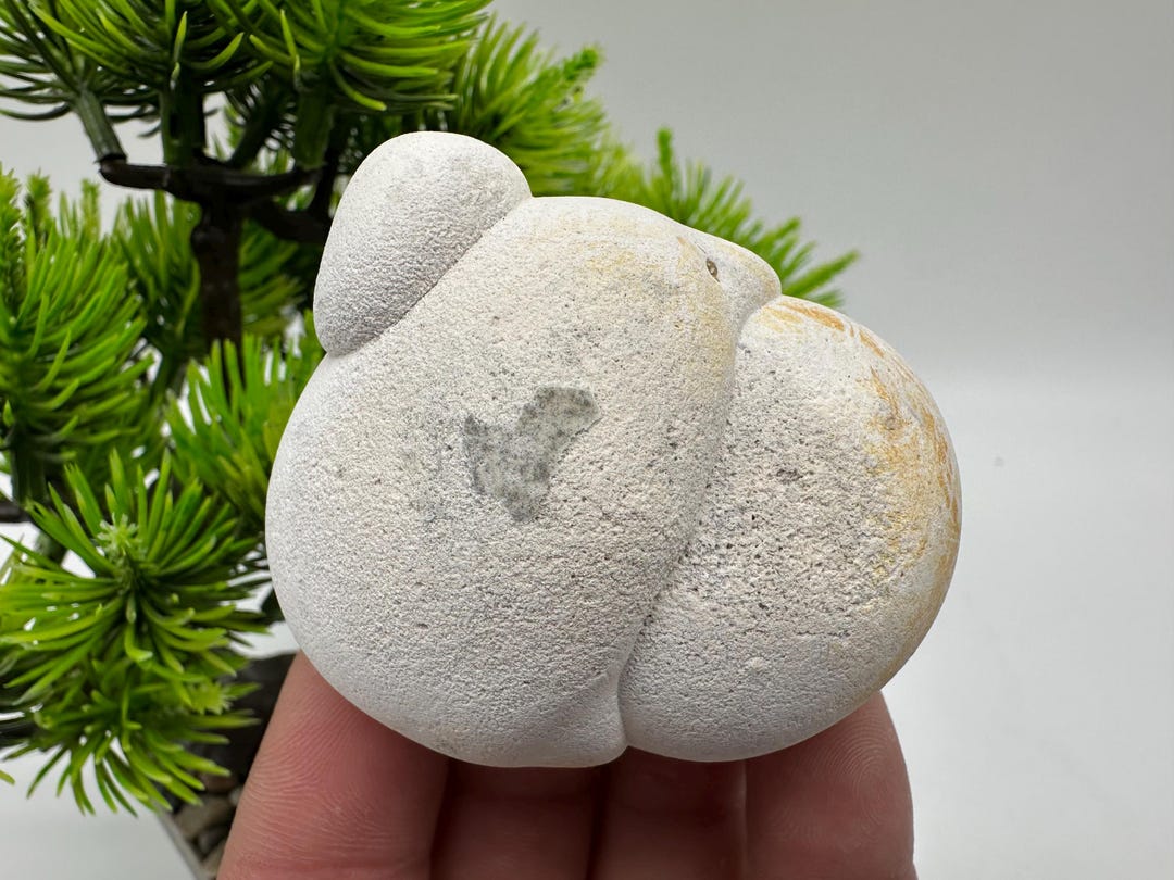 Menalite Crystal, White Fairy Crystal, Unique & Special Crystal Piece ...