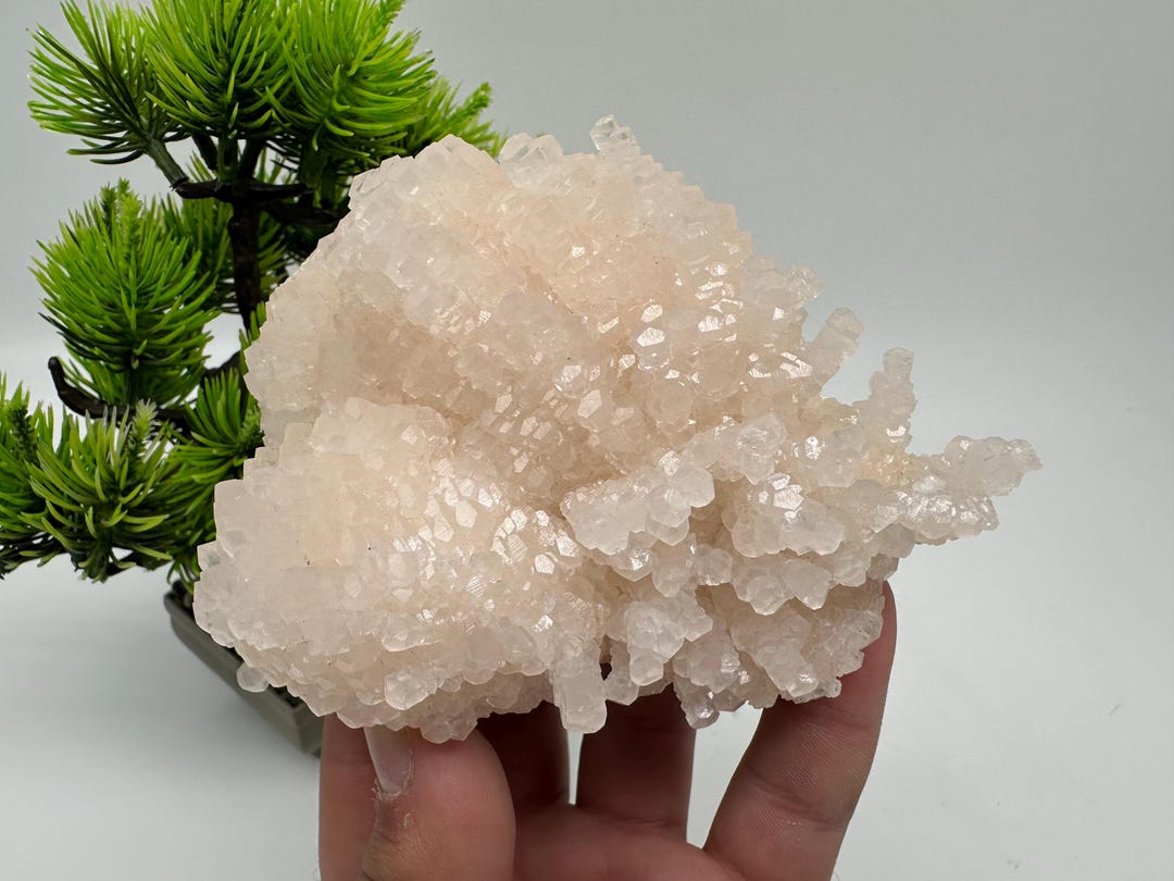 Stunning Mangano Calcite UV Light Reacted,narura Minerals Souvenir ...