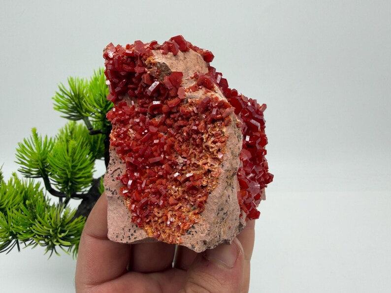 Red Vanadinite on Matrix From Morocco,crystal, Mineral,specimen,cluster ...