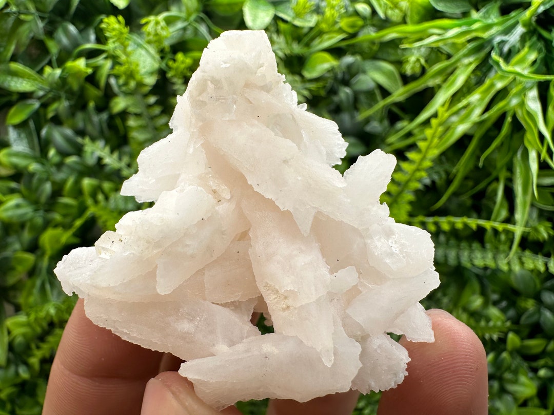 RARE!! Aesthetic Double Sprouted Calcite (fluorescent) From Djurcovo ...