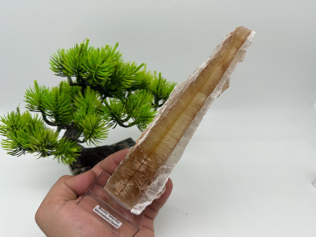 Golden Phantom Selenite Slab, Utah Raw Crystal Wand (5/19 Cm) - Etsy