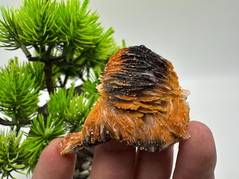 Red Vanadinite on Barite whit Goethite from Morocco,Crystal, Mineral ...