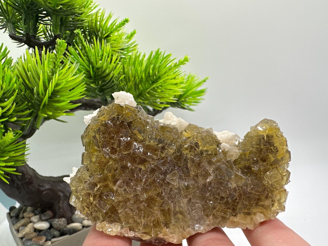 Yellow Fluorite Mineral Specimen, Spanish Crystal Collection - Etsy