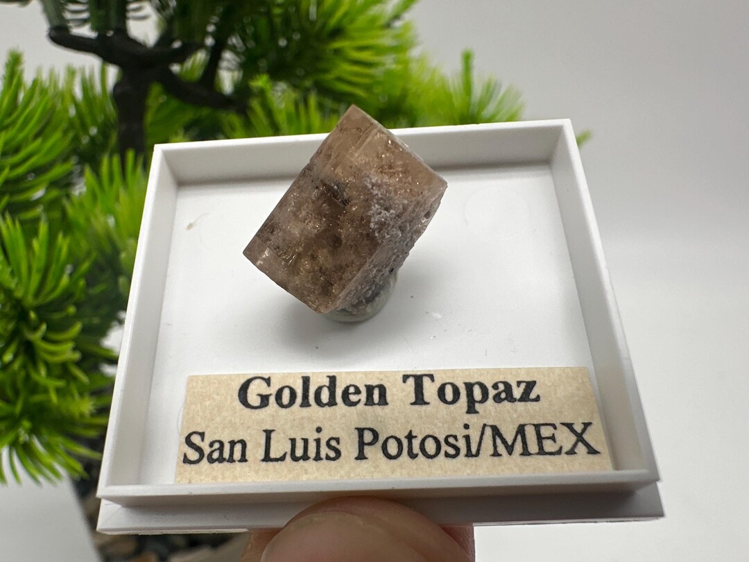 Beautiful Golden Topaz From Mexico,collection Piece Crystal,mineral ...
