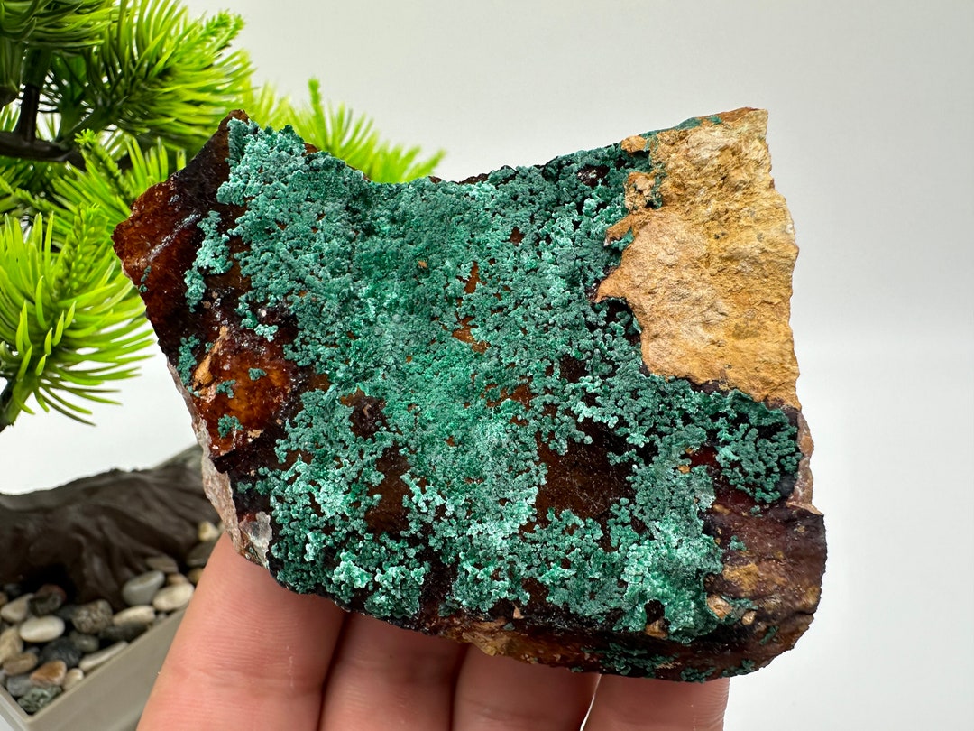 Stunning Green Malachite on Matrix,from Morocco,minerals,crystals ...