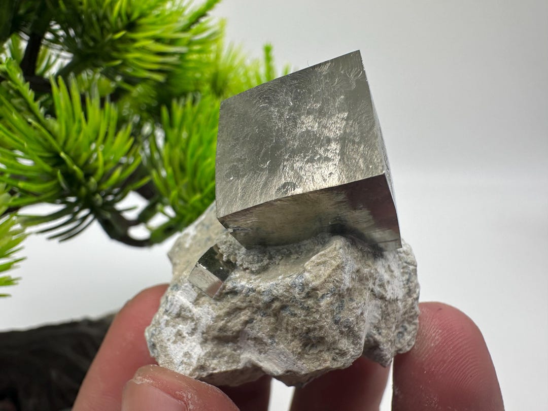 Large Pyrite Cubes on Matrix,gold,cube PYRITE, Navajun,la Rioja, Spain ...