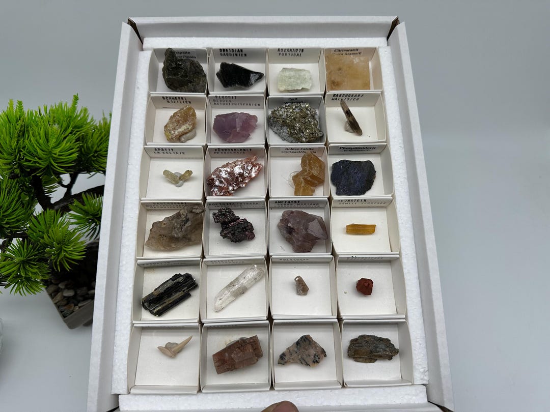 Set of 24 Different International Crystals,minerals,flat Minerals,flat ...